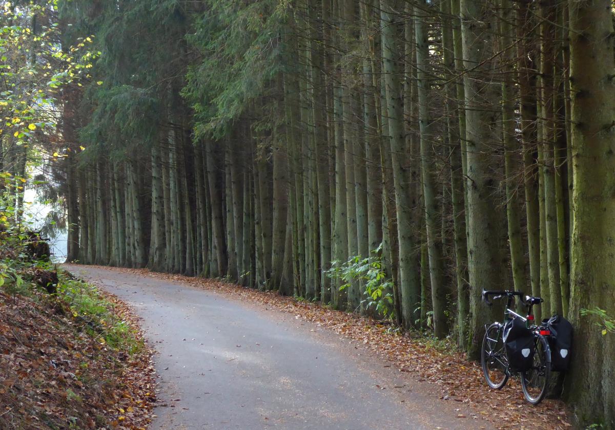 Interrail 51: Vennbahn 2 – Bike path de Lux – e2e.bike