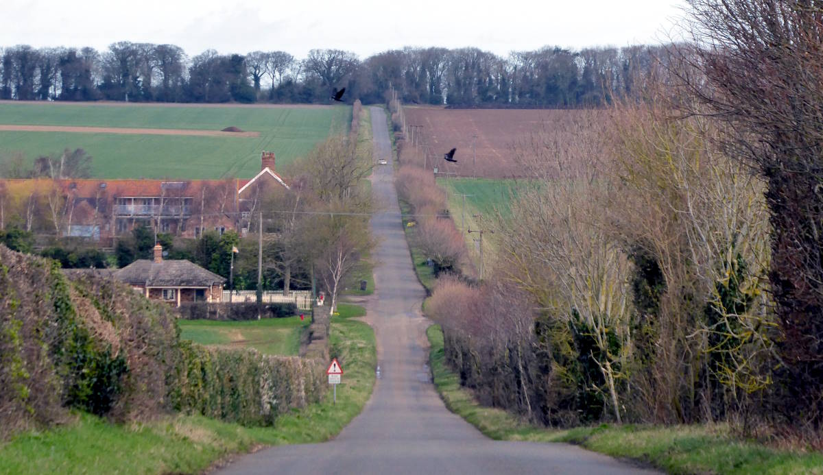 Birds Trail 1: Hiding in Norfolk – e2e.bike